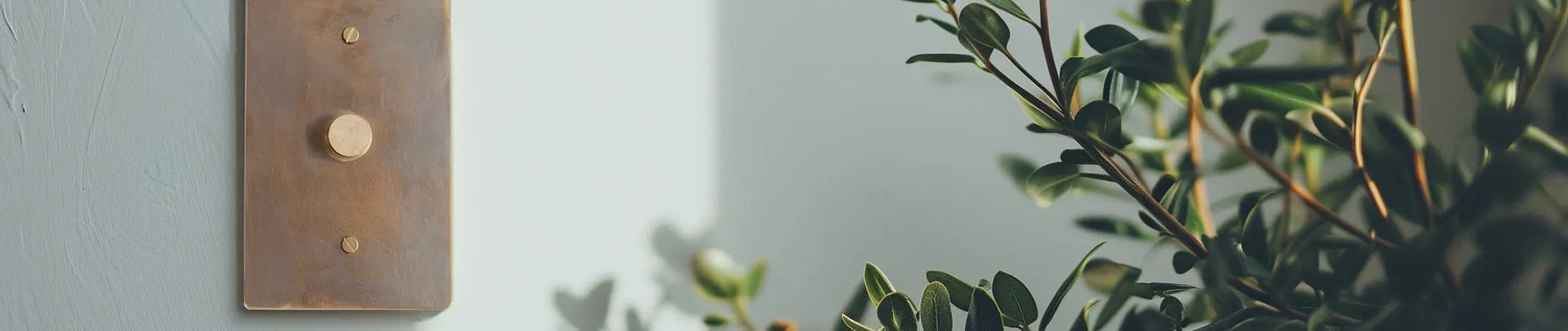 Light Switches — Simprolos