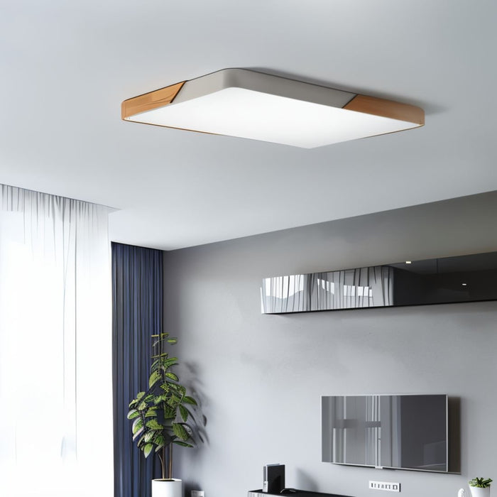 Delphi Ceiling Light — Simprolos